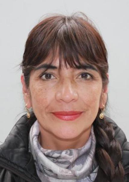 Partido del Buen Gobierno — PBG
